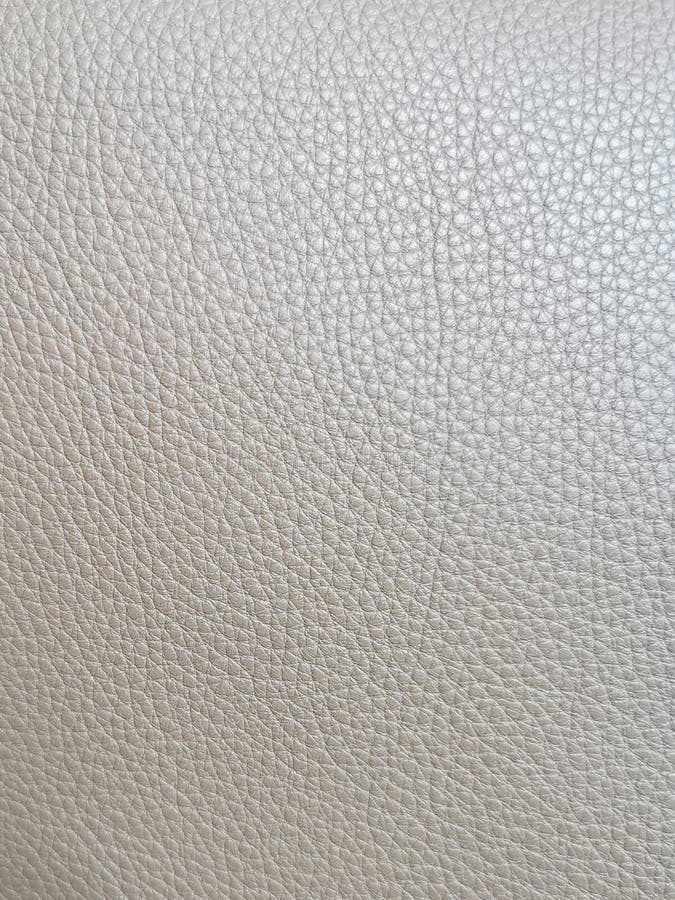Tejido De Piel Gris Claro Y Natural Imagen de archivo - Imagen de ...