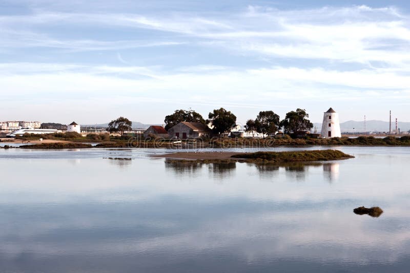 Tejo river. stock photo. Image of buildings, seagulls - 20246302