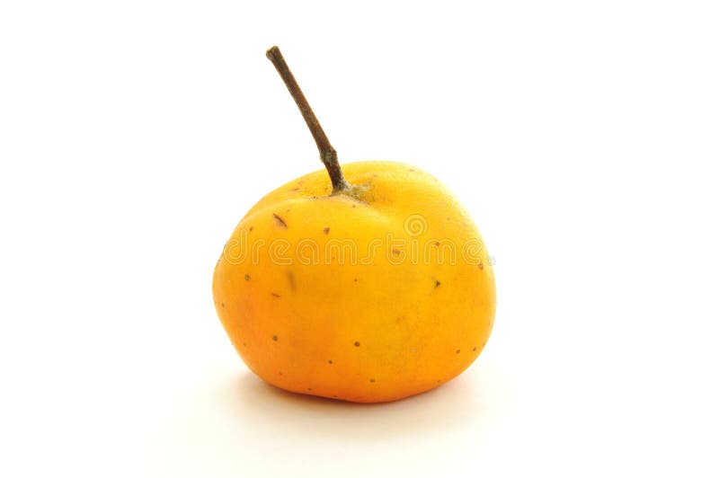 Tejocote fruit stock image. Image of closeup, yellow - 17387625