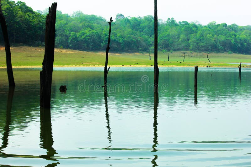 Tekadi stock image. Image of hampi, forest, religion - 100256239