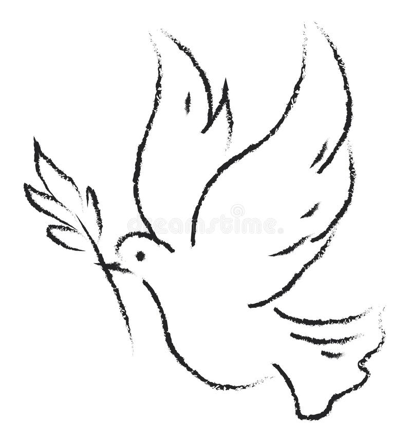 Tekening Van Duif, Illustratie, Vector Vector Illustratie ...