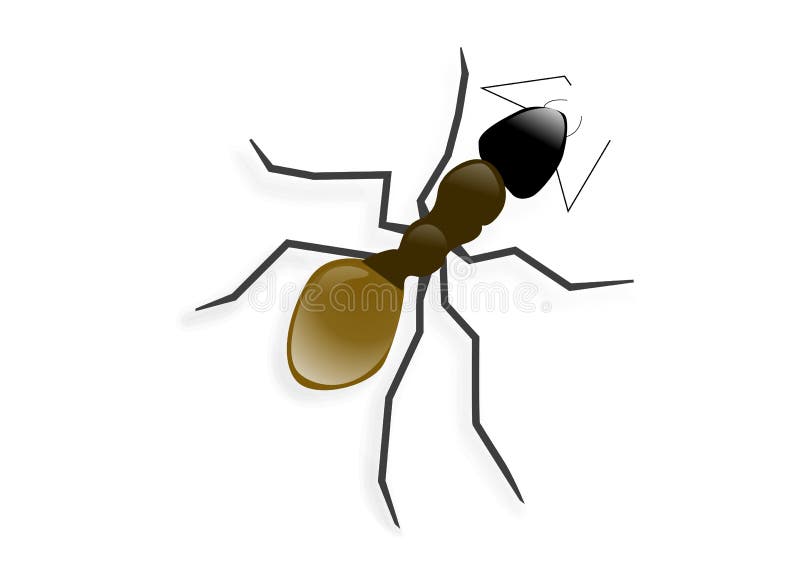 Tekening Van Een Mier Met Een Witte Achtergrond Stock Illustratie ...