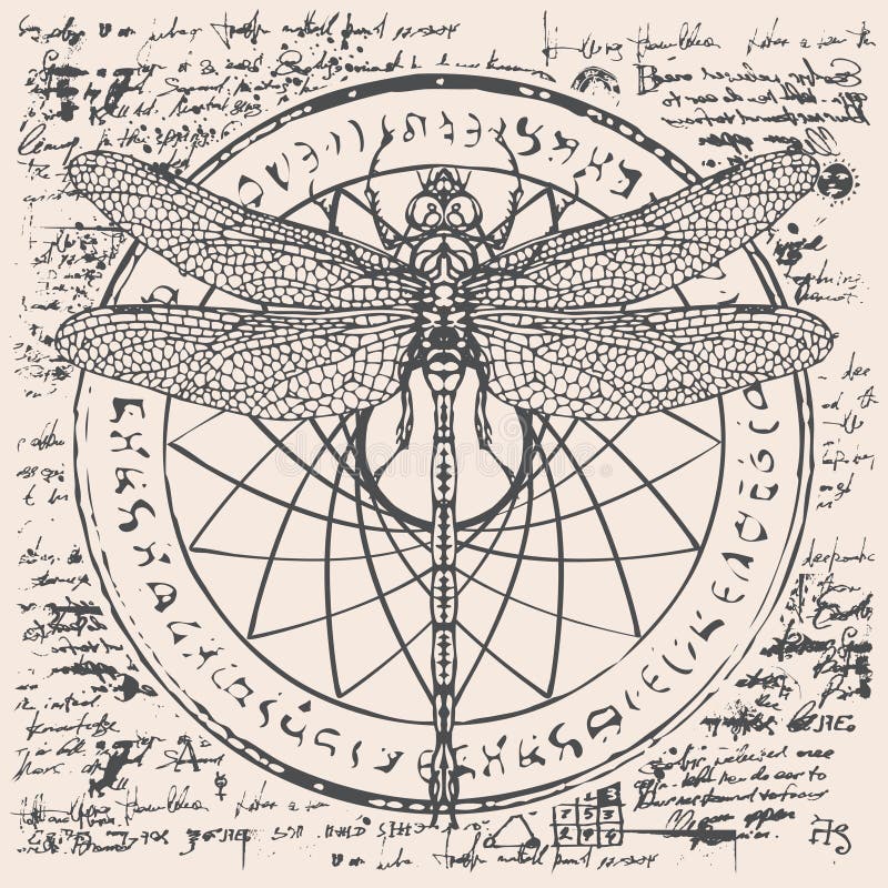 Tekening Van Libel Op Een Abstracte Achtergrond Vector Illustratie ...