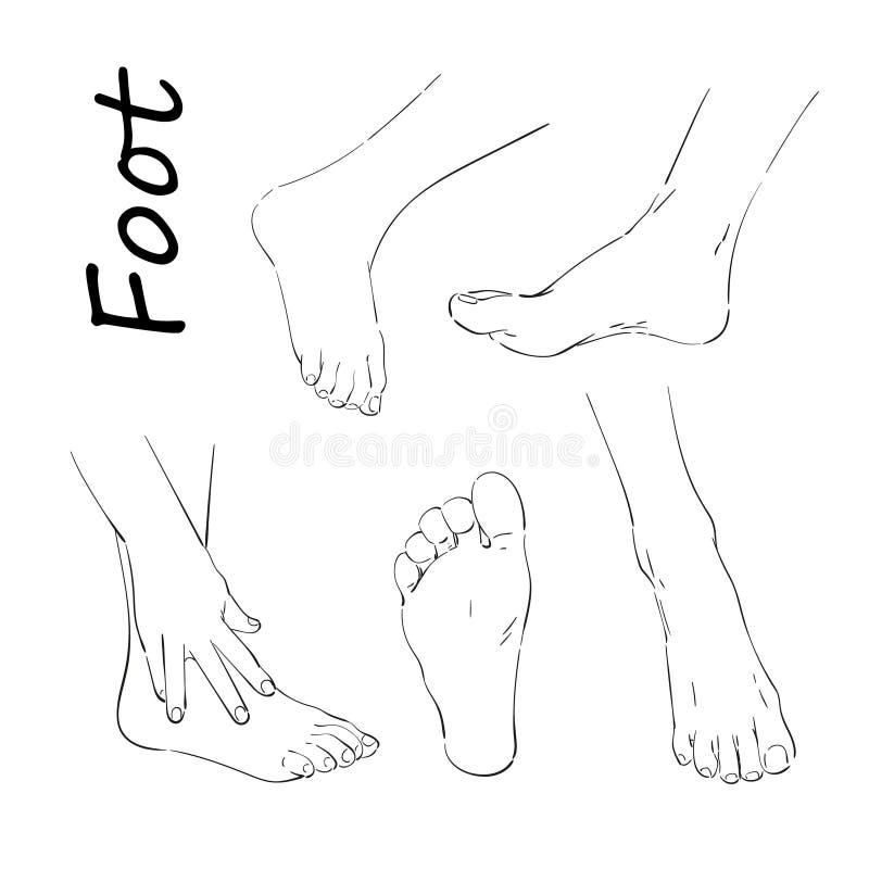 Tekening van voet vector illustratie. Illustration of mens - 140155955