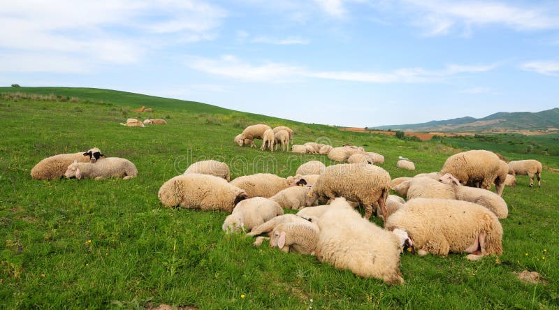 Mount Isik in Tekirdag, Turkey Editorial Photography - Image of ...