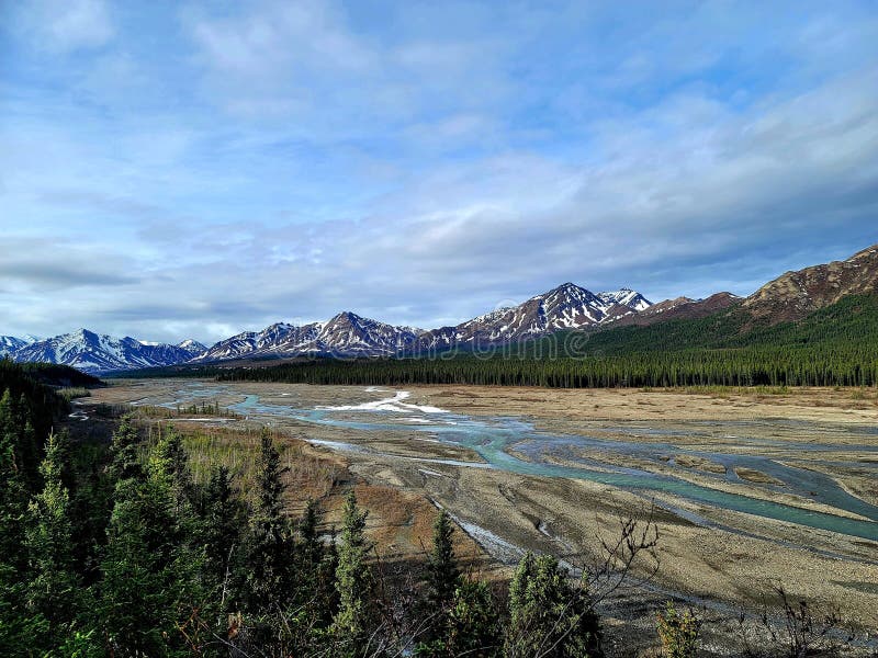 Teklanika River in Denali National Park in the Early Summer Stock Image ...