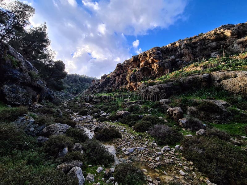 Tekoa Israel Map Stock Photos - Free & Royalty-Free Stock Photos from ...