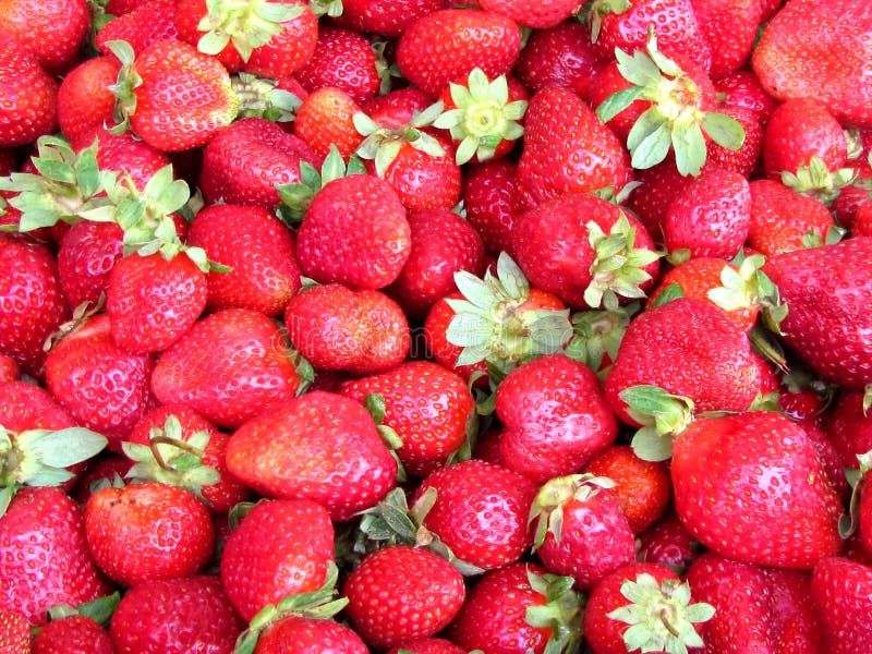 Tel Aviv Carpet of Strawberry 2012 Stock Photo - Image of macro, market ...