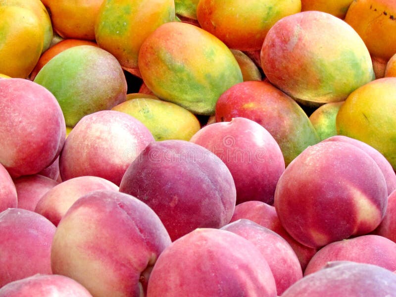 Tel Aviv Hybrid of Peach and Mango on Bazaar 2012 Stock Image - Image ...