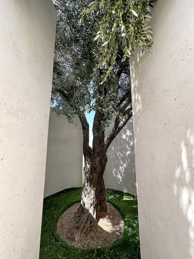 White Square Monument in Tel Aviv Editorial Stock Image - Image of ...