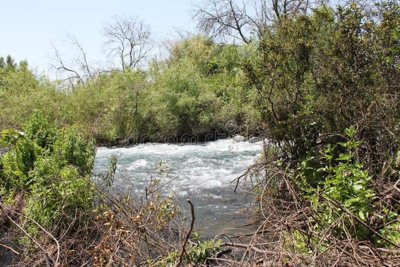 Tel Dan River Nature Reserve, North Israel Stock Photo - Image of flora ...