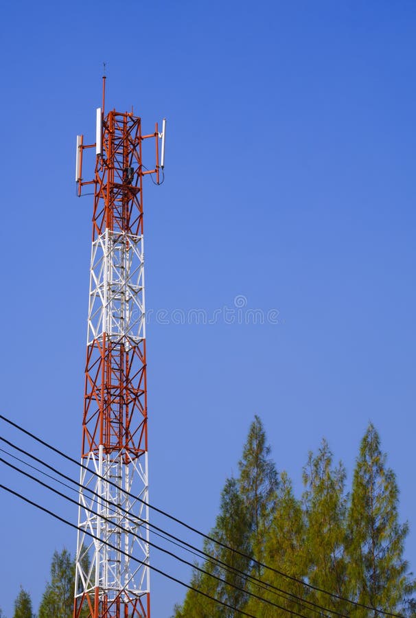 Telecommunication Tower Antenna with Cable Lines and Pine Trees Against ...