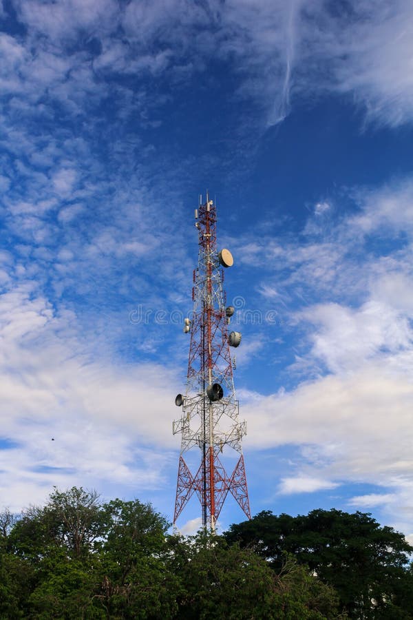 Cell phone tower tree stock image. Image of city, communication - 36653369