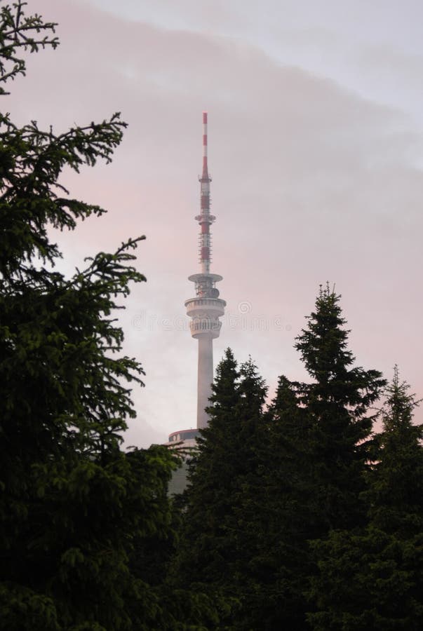 Telecommunication Tower Over the Trees Stock Photo - Image of ...