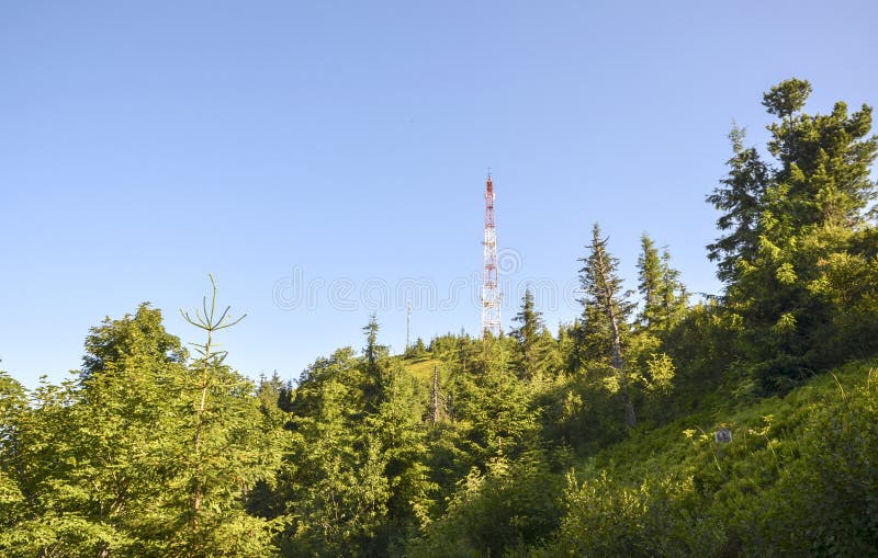 588 Forest Service Tower Stock Photos - Free & Royalty-Free Stock ...