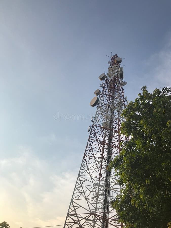 Telecommunication Tower With Tree Stock Photo - Image of broadcasting ...