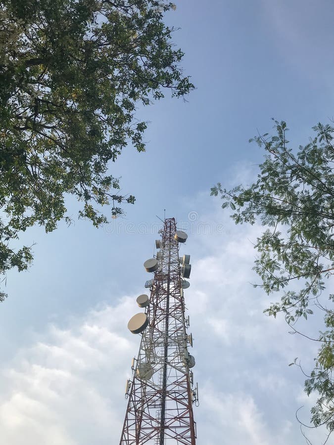 Telecommunication Tower and Tree at Evening Stock Photo - Image of ...