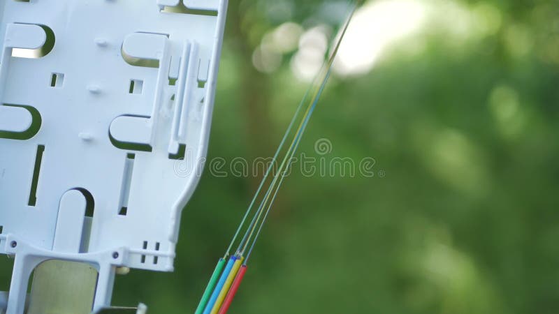 Technicians are Installing Optic Fiber with Cable Ties. Stock Image ...