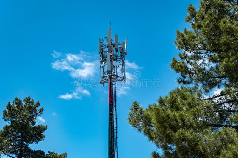 Telecommunications Tower for Wireless Connectivity Amidst Pine Trees ...