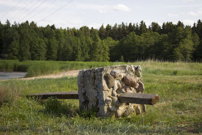 Telegraph Pole Fallen in the Forest on the Sandy Shore of the Lake. the ...