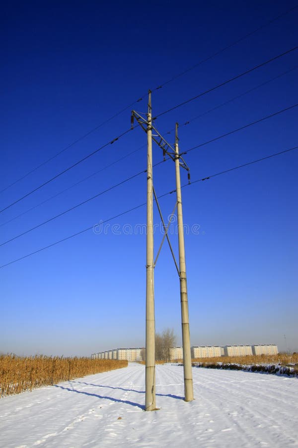 Telegraph Poles in the Snow Stock Image - Image of angle, sunny: 366305557
