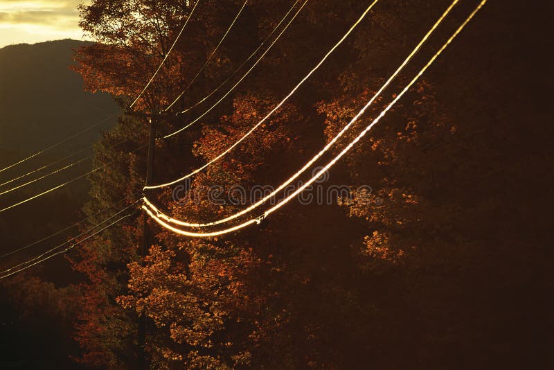 Telephone lines stock image. Image of color, wires, lines - 23161563