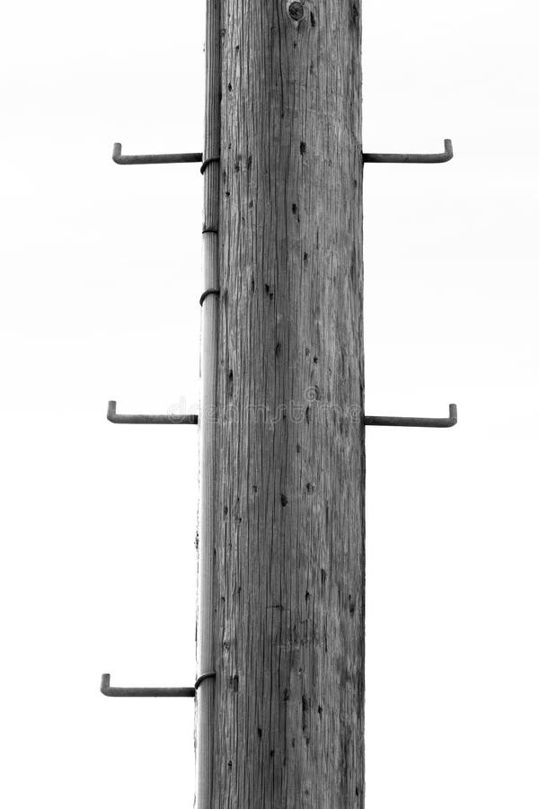 Old Telephone Pole with Rungs for Climbing Stock Photo - Image of power ...
