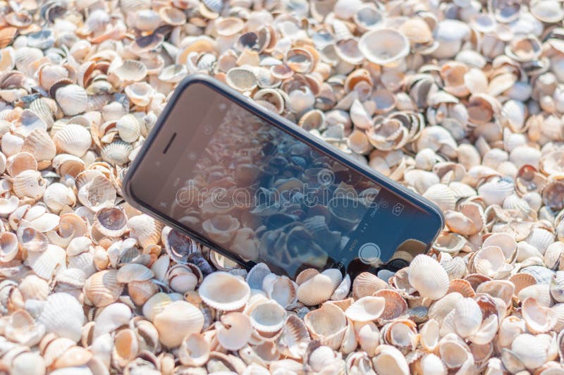 Telephone in shells stock image. Image of mobile, phone - 127586693