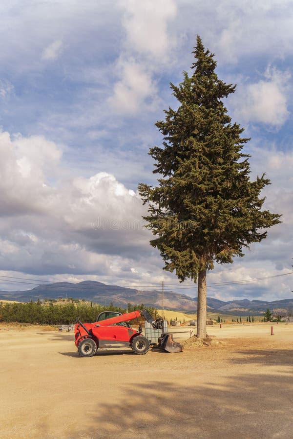 Telescopic Loader Under a Cypress Tree on a Construction Site, Stock ...