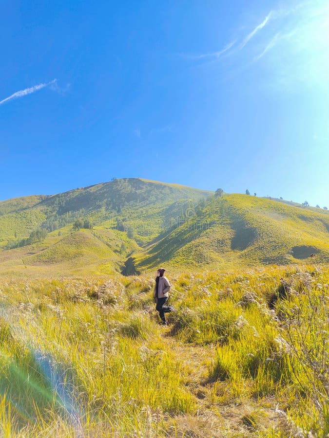 Teletubbies Hill, East Java, Indonesia Editorial Stock Image - Image of ...