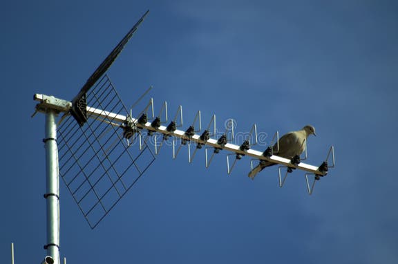 Television Antenna for Signal Reception Stock Photo - Image of ...