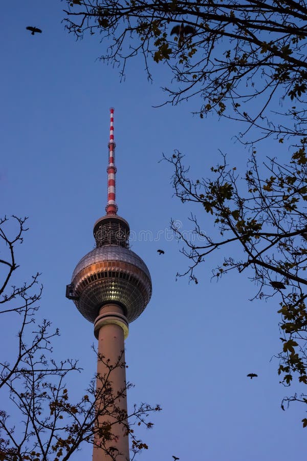 Television Tower of Berlin with Crows Stock Photo - Image of skyscraper ...