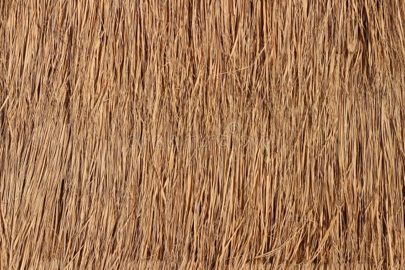 Textura De Palha Para Fundo Imagem de Stock - Imagem de retratos, fundo ...