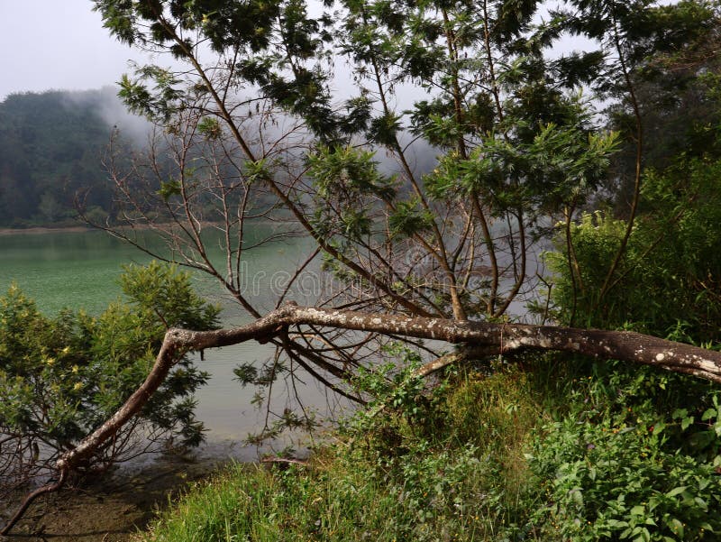 Telogo warno stock image. Image of java, telogo, dieng - 306299077