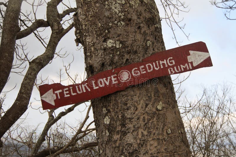 Sign Board Under Shady Trees Along the Papuma Beach in Jember ...