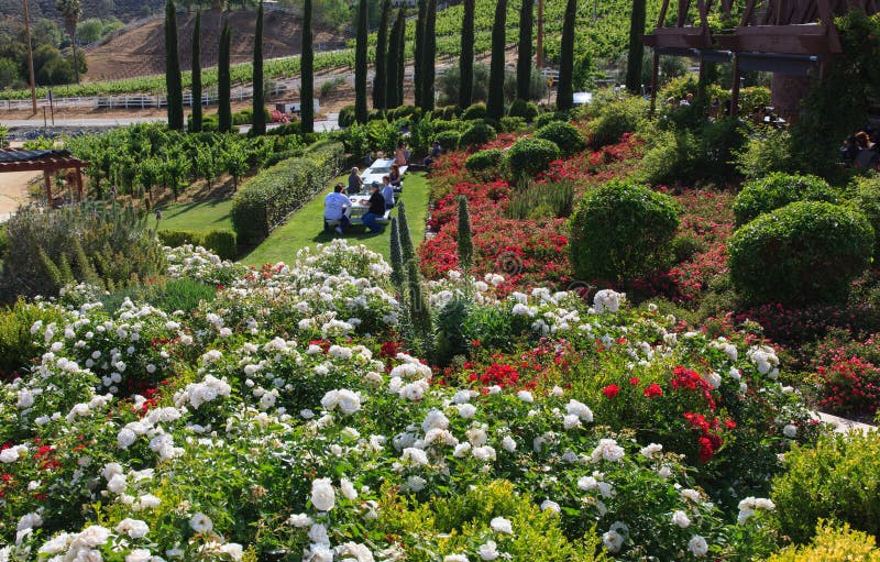 Temecula Winery editorial image. Image of bench, taste - 25508190