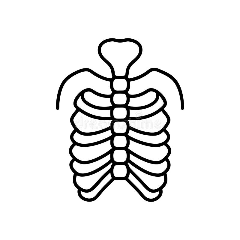 A X ray line art vector stock vector. Illustration of text - 360563346