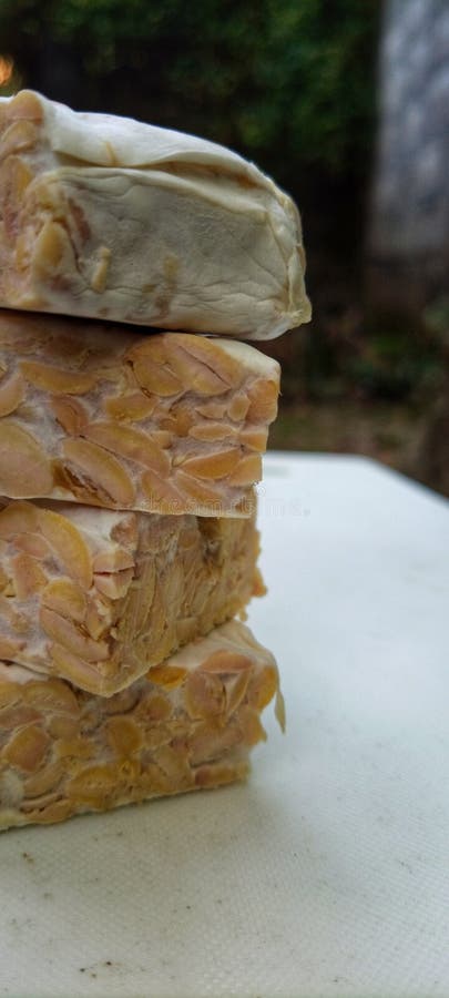 Tempe O Tempeh Es Una Comida Tradicional Indonesia Foto de archivo ...