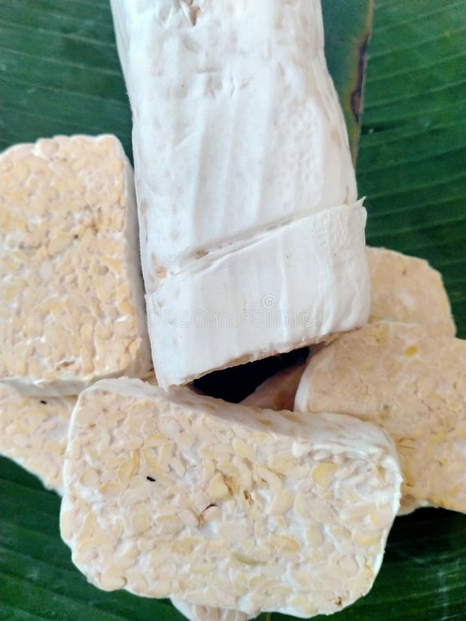 Tempe soybean stock image. Image of traditionalfood - 215698117