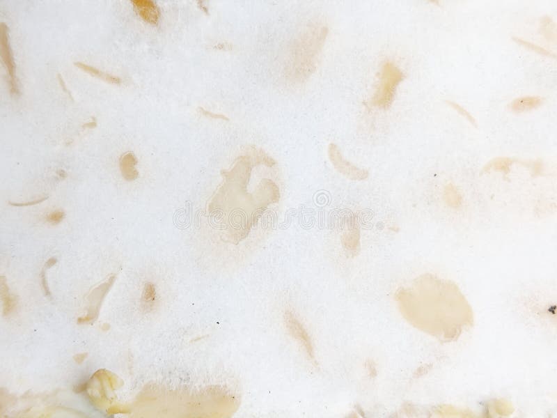 Soybean Tempeh Texture, Delicious Cooking Ingredients, Close Up View ...
