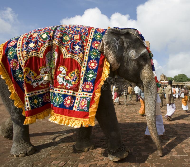 Tempel-Elefant - Thanjavur - Indien Redaktionelles Stockbild - Bild von ...