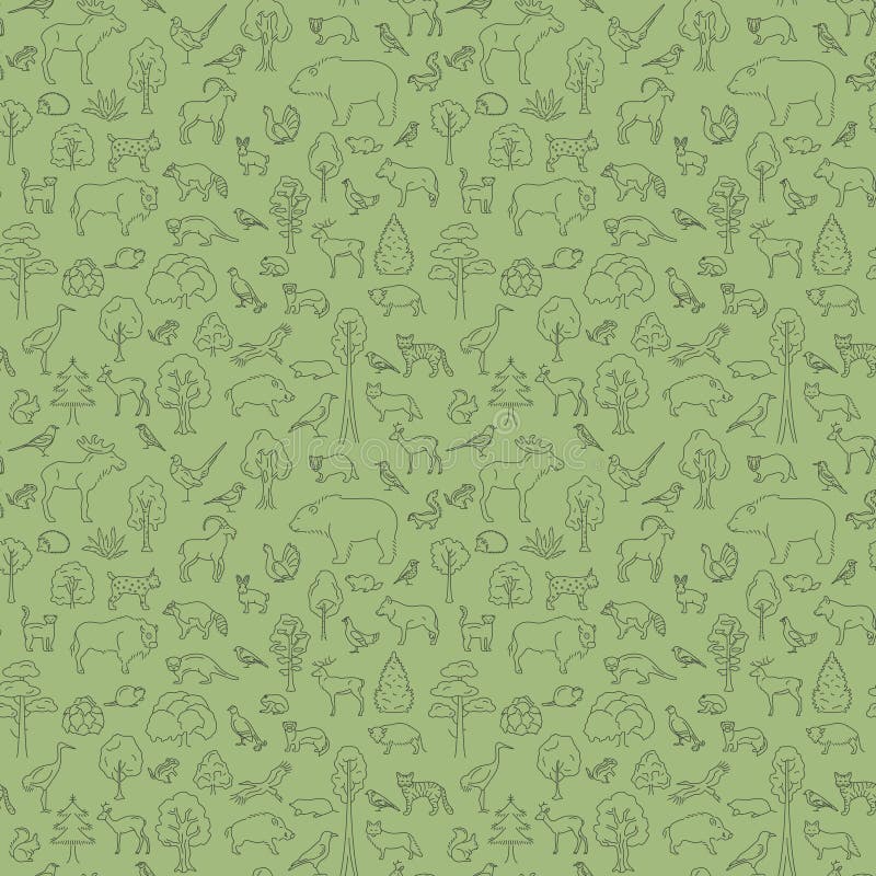 Temperate Broadleaf Forest and Mixed Forest Biome Seamless Pattern ...