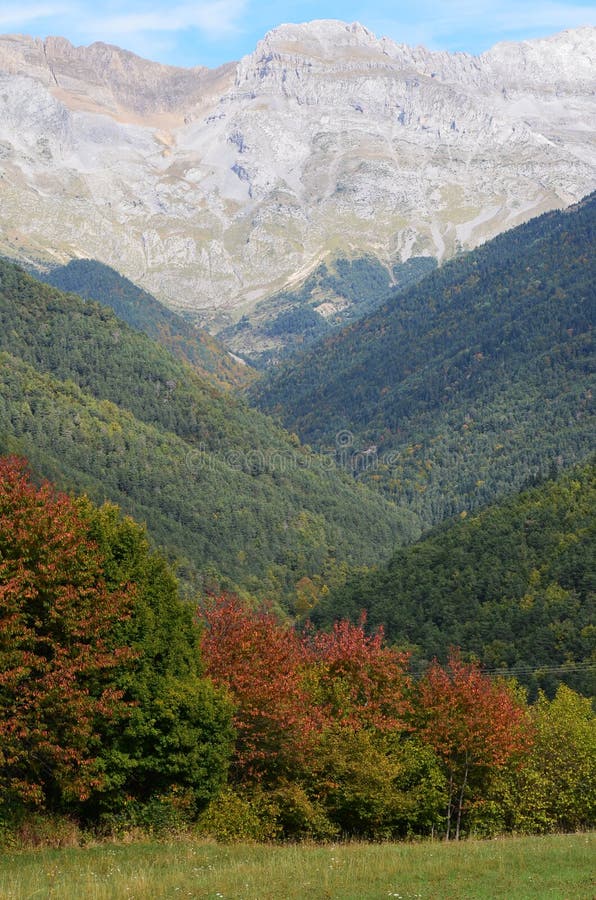 Autumn Colors in the Mixed Mountain Forests of the Ordesa-Viñamala ...