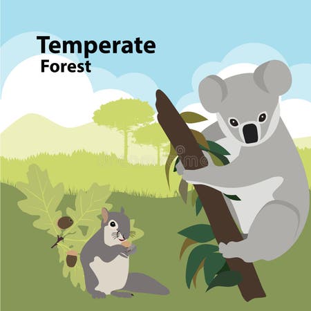 Temperate forest Wildlife stock vector. Illustration of land - 85169694