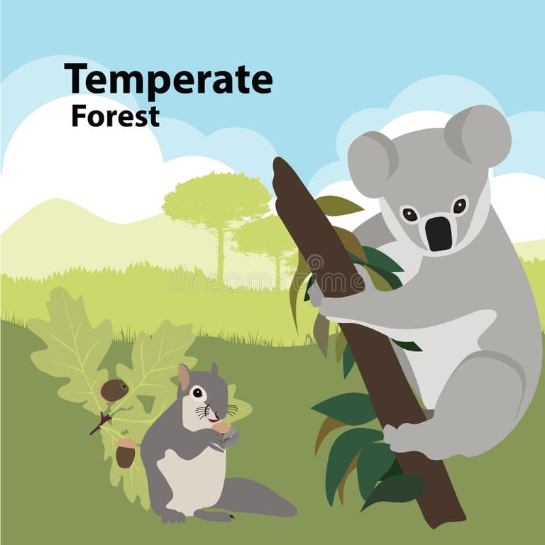 Temperate Stock Illustrations – 8,639 Temperate Stock Illustrations ...