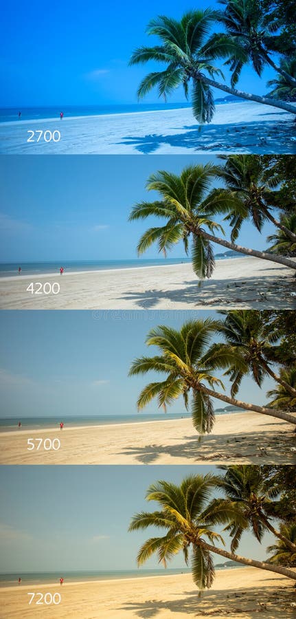 Temperature Adjustment, Color Temperature, Kelvin Scale Color ...