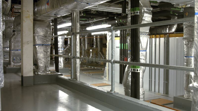 Temperature Control. Man Checks the Temperature with a Thermal Imager ...