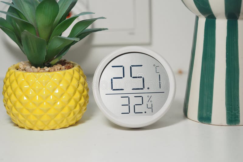 Temperature and Humidity Display Next To Decorative Plant Stock Photo ...