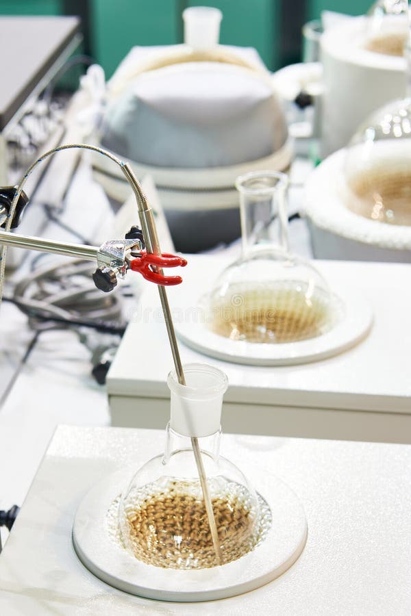 Temperature Sensor and Heating Mantle Stock Image - Image of technology ...