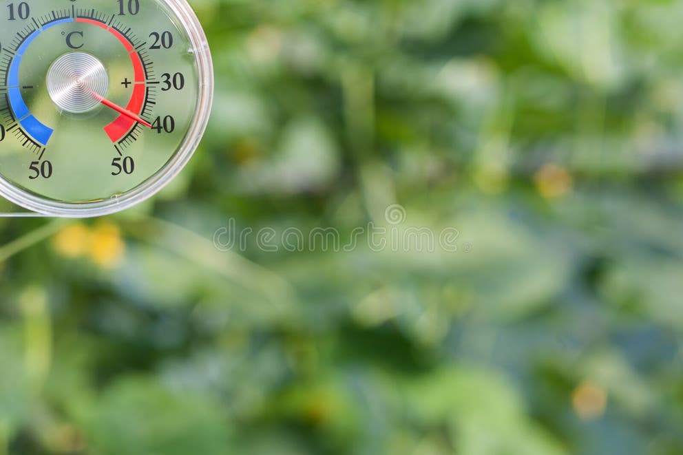 Temperaturmeter i burk fotografering för bildbyråer. Bild av celsius ...